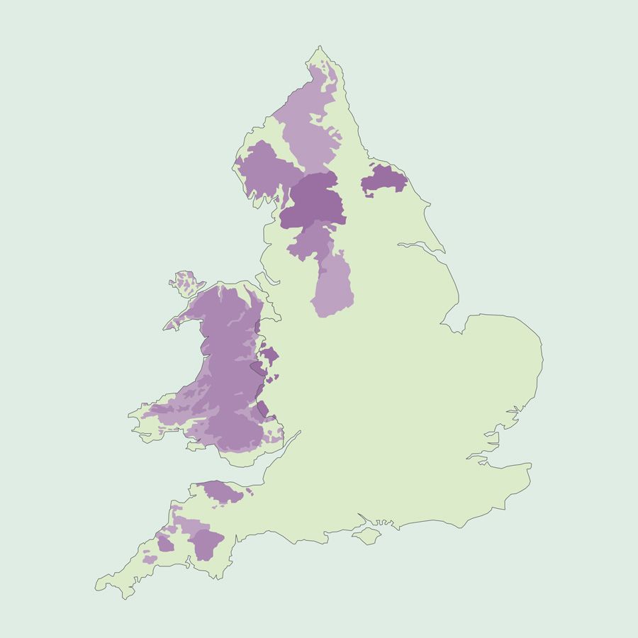 The Uplands – a vision for prosperity, stewardship and resilience ...