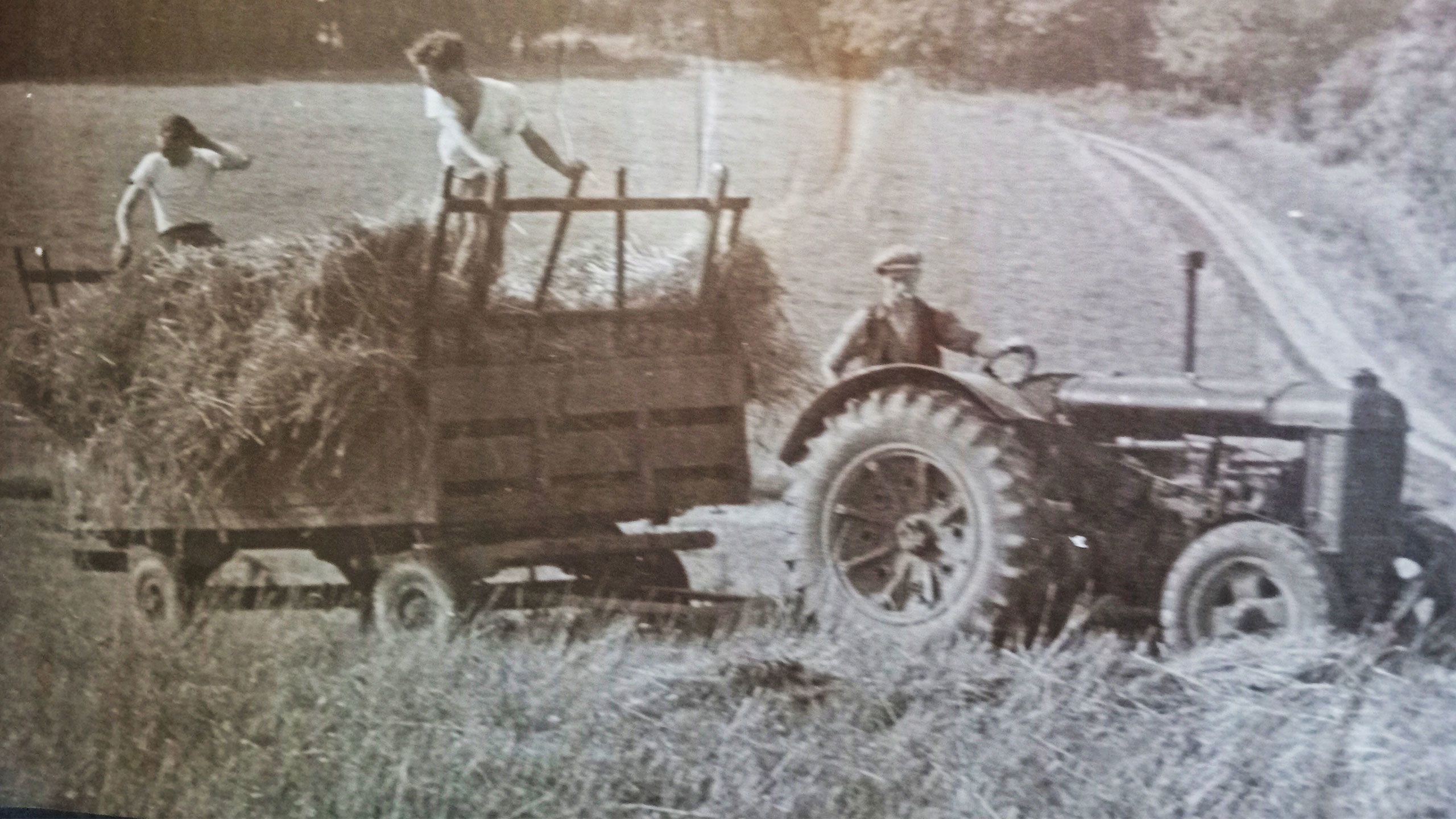 VE Day – the NFU remembers the 80th anniversary – NFUonline