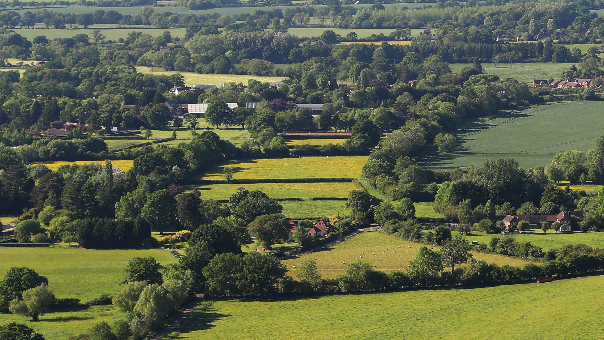 Back British Farming Day 2025 | 10 years backing British farming ...