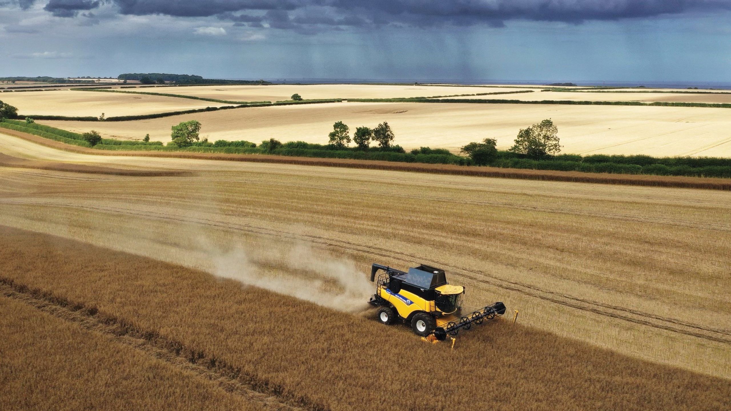 Back British Farming Day 2025 | 10 years backing British farming ...