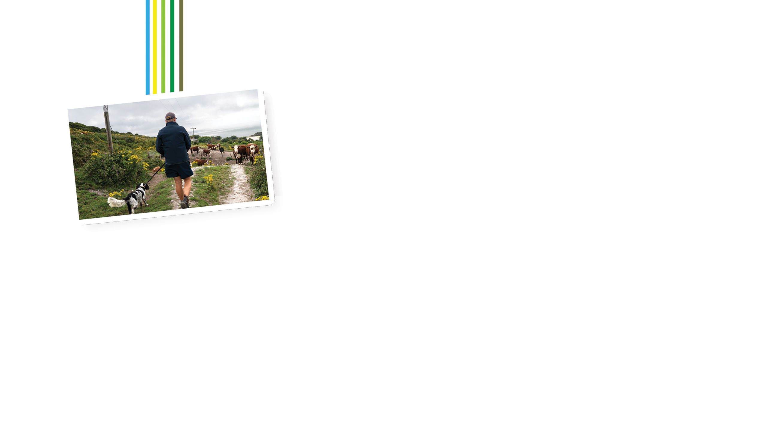 Back British Farming Day 2025 | 10 years backing British farming ...