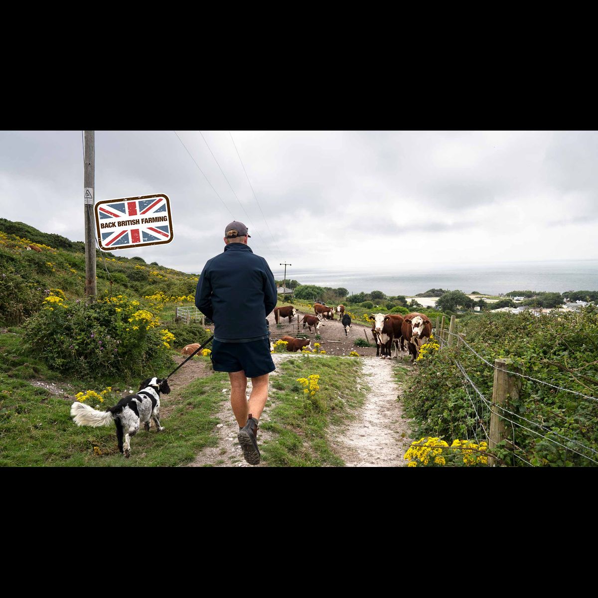 Back British Farming – Keeping dogs and livestock safe in the countryside