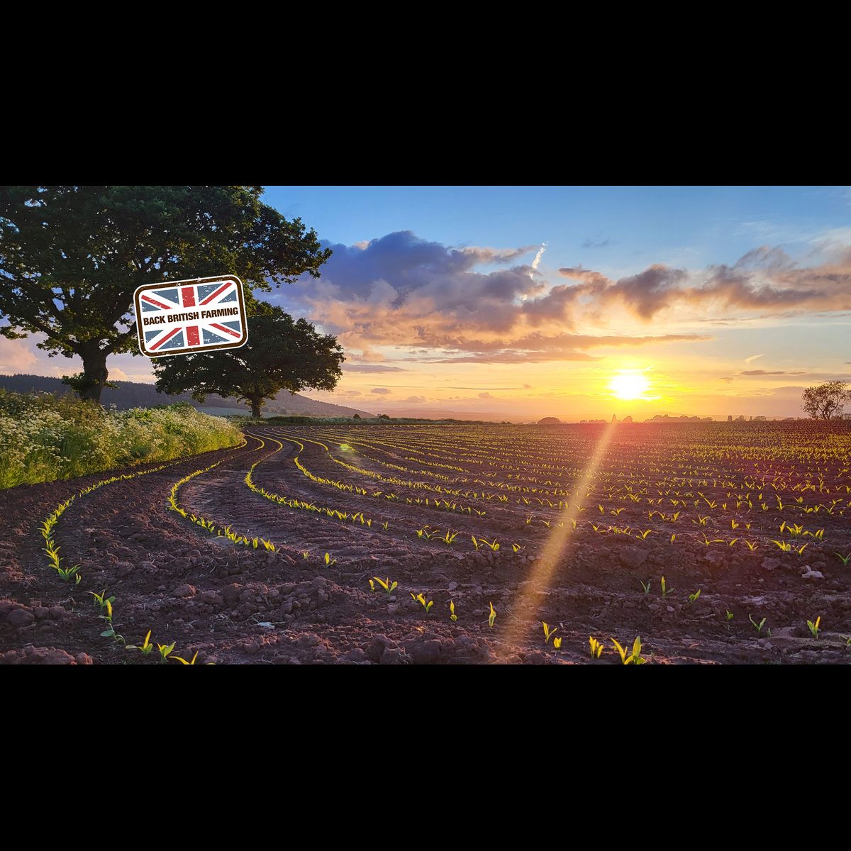 Back British Farming – campaigning for British food and farming