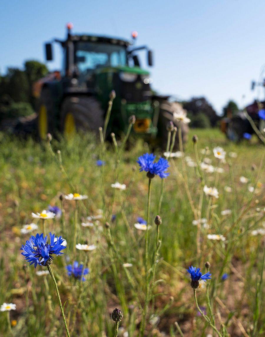 NFU Combinable Crops Board Strategy – Harvesting Growth – NFUonline