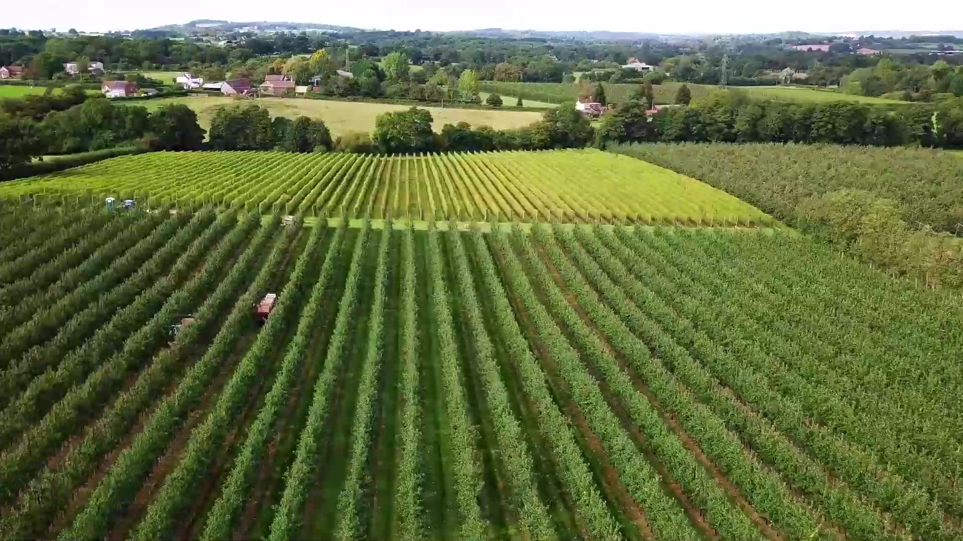 Delivering growth for the UK horticulture sector – NFUonline