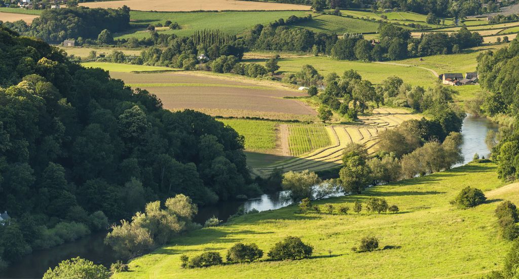 What's in the Wylye? – NFUonline